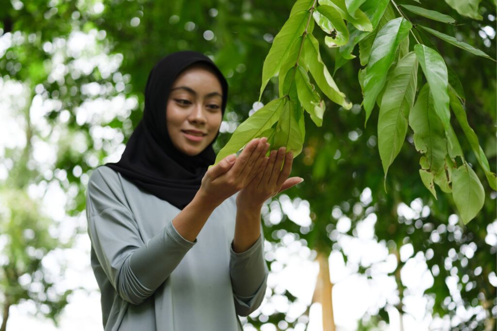 Theory of Change: The Backbone of High-Quality Carbon Projects - EP Carbon